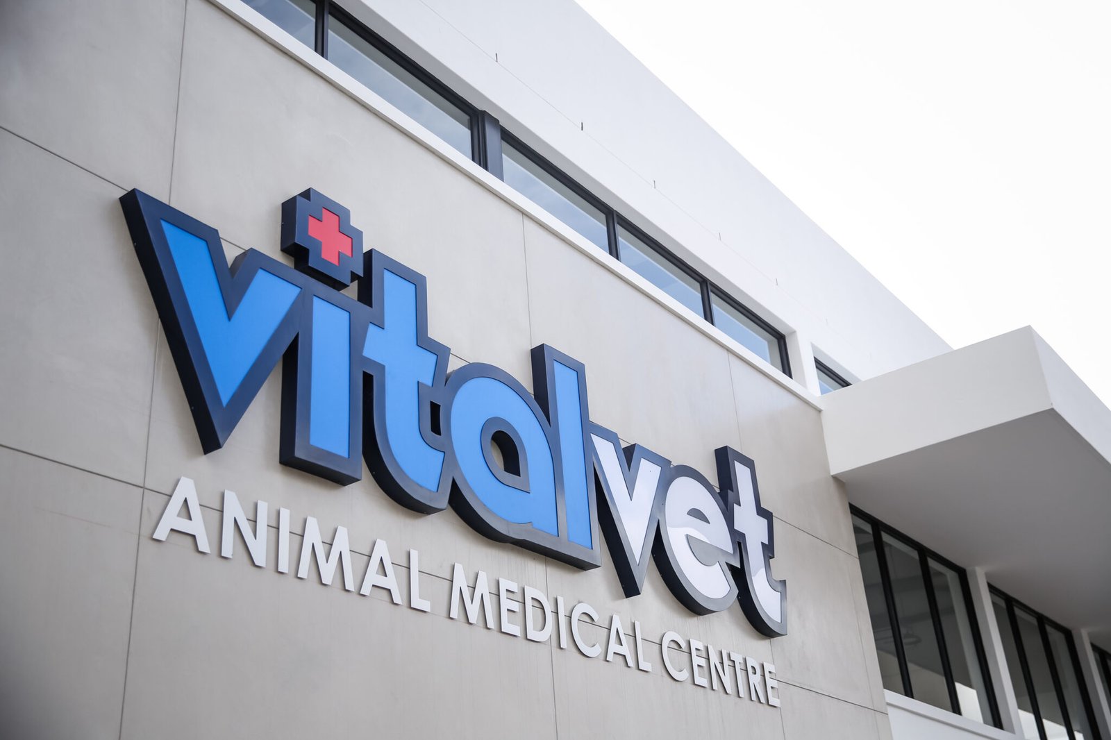 Understanding Canine Parvovirus: What Every Dog Owner Should Know ...