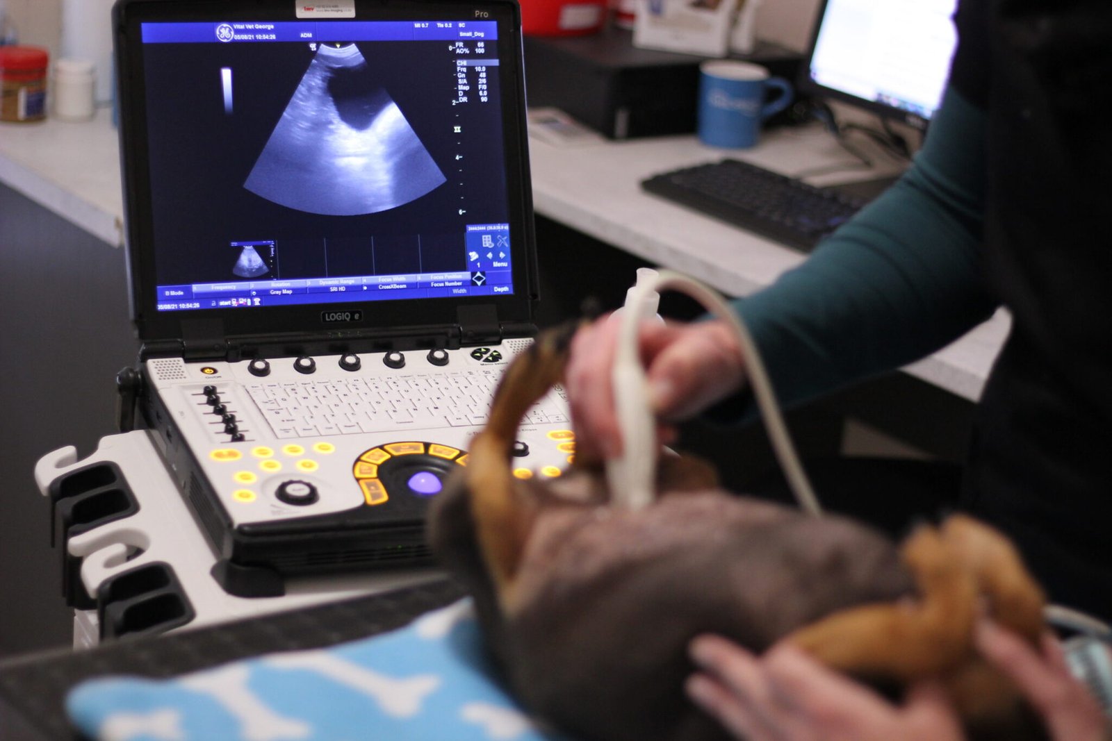 Animal Medical Centre - Vitalvet - Veterinary Health Care & Retail Group